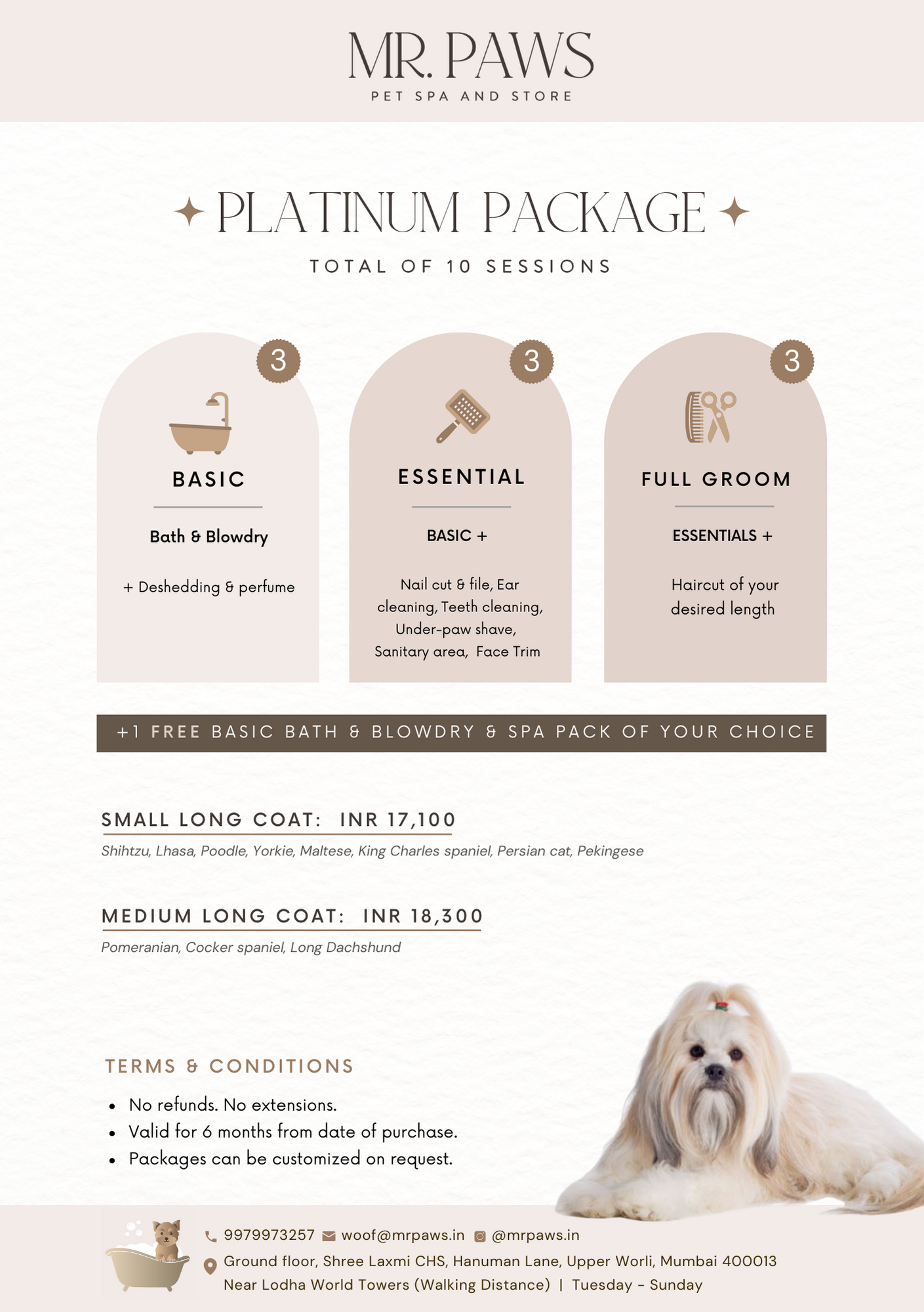 Grooming under – Mr.Paws