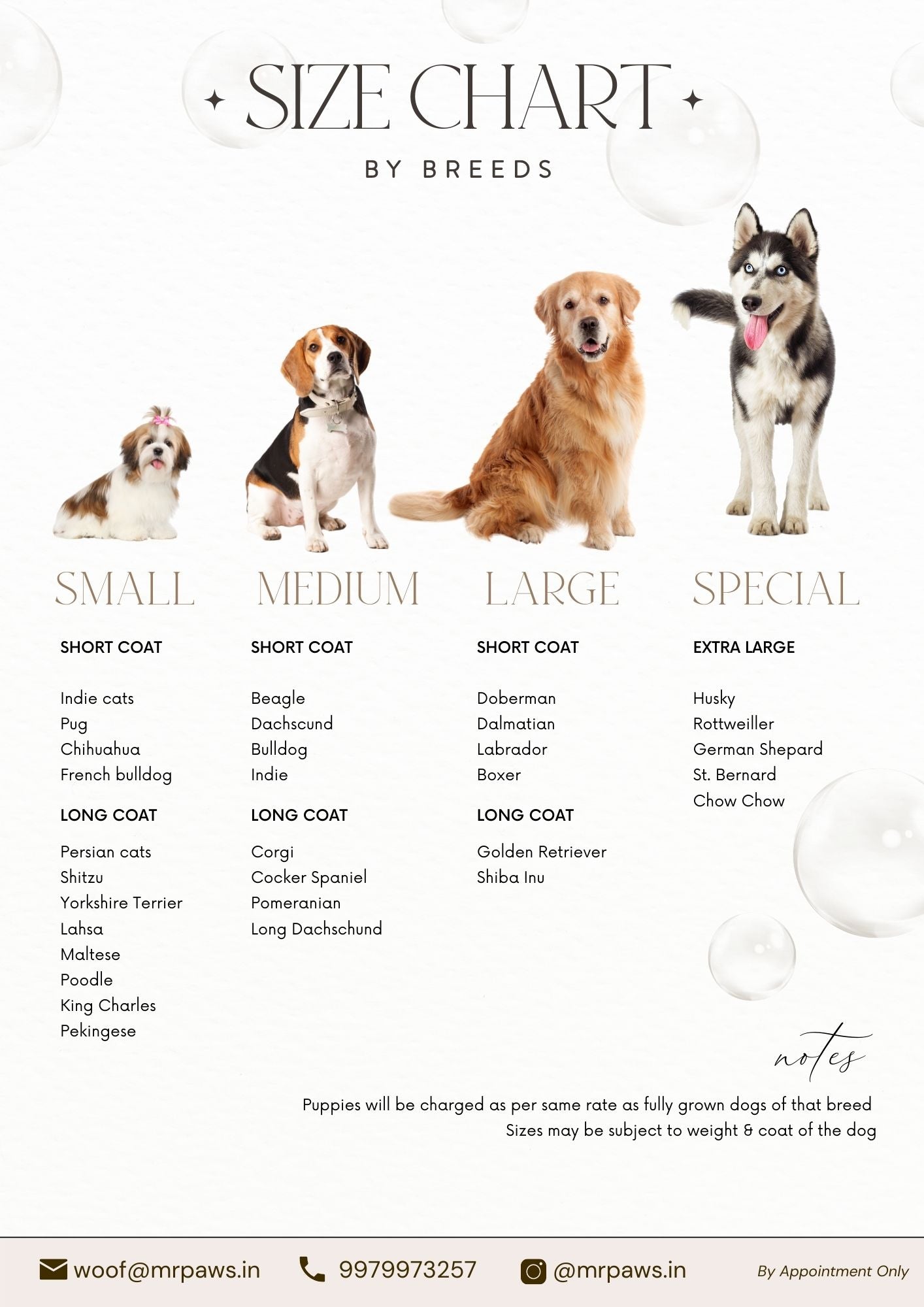 Best Sellers – Mr.Paws