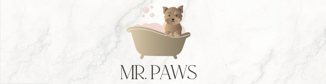 Mr. Paws – Mr.Paws